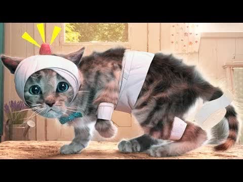 Little Kitten Adventures- Play Fun Pet Kitten Care Kids Game - Fun Cute ...