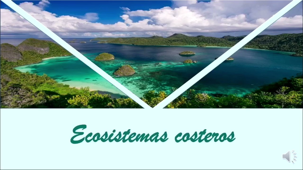 Ecosistemas costeros🏝 - YouTube
