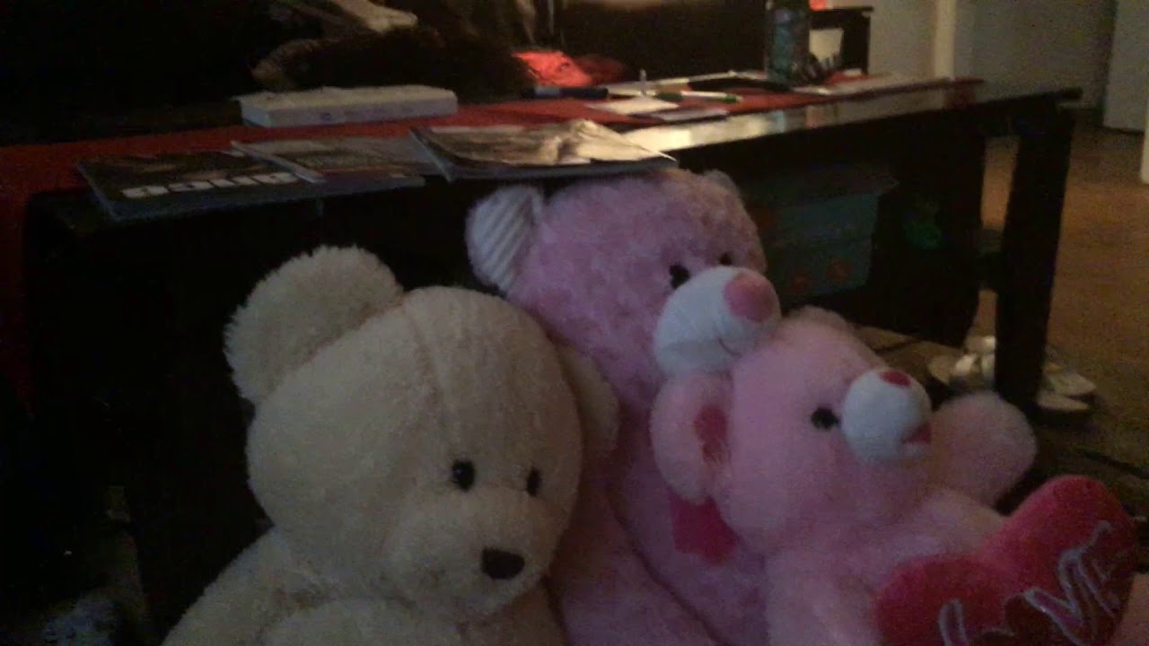 Bears getting married - YouTube