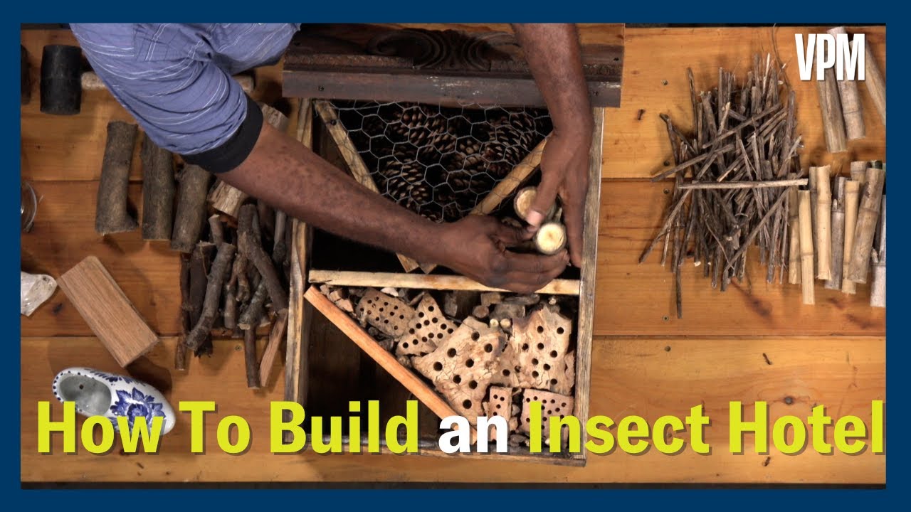 Learn how to build an insect hotel for your backyard - YouTube