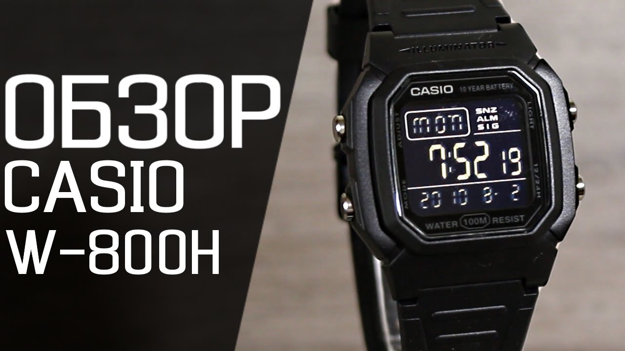 Обзор CASIO W-800H-1B | Где купить со скидкой - YouTube