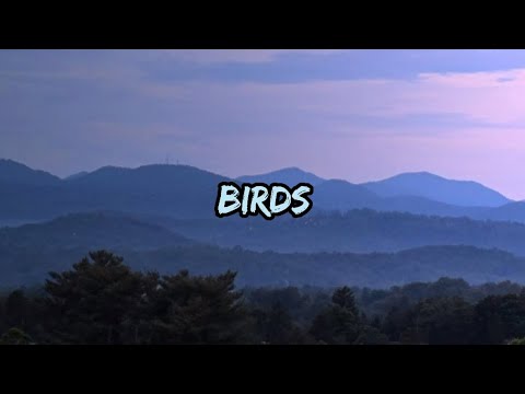 Birds - Imagine Dragons lyrics Music English - YouTube