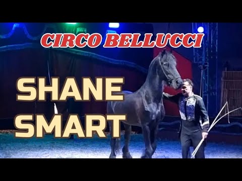 I frisoni di SHANE SMART nella pista del circo BELLUCCI. Melfi, maggio 2025 - YouTube