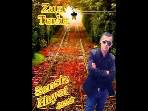 ZAUR TENHA sensiz heyat  yep yeni 2015