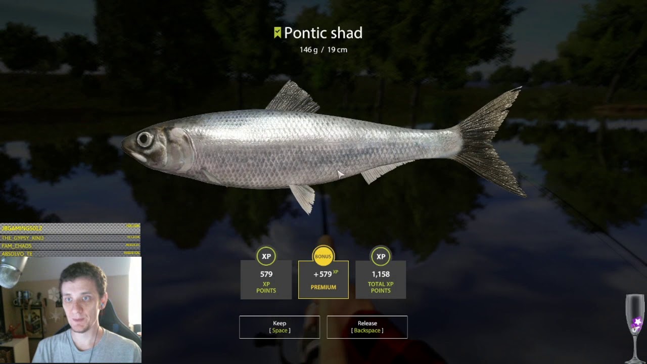 RF4 Seversky Donets River Targeting Pontic Shad - YouTube
