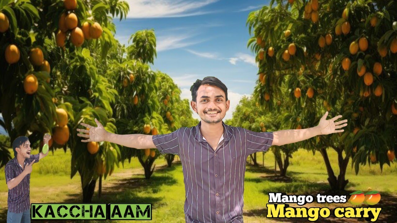 🥭Kaccha Aam | Mango carry |Eating The mango will you try this Mango ...