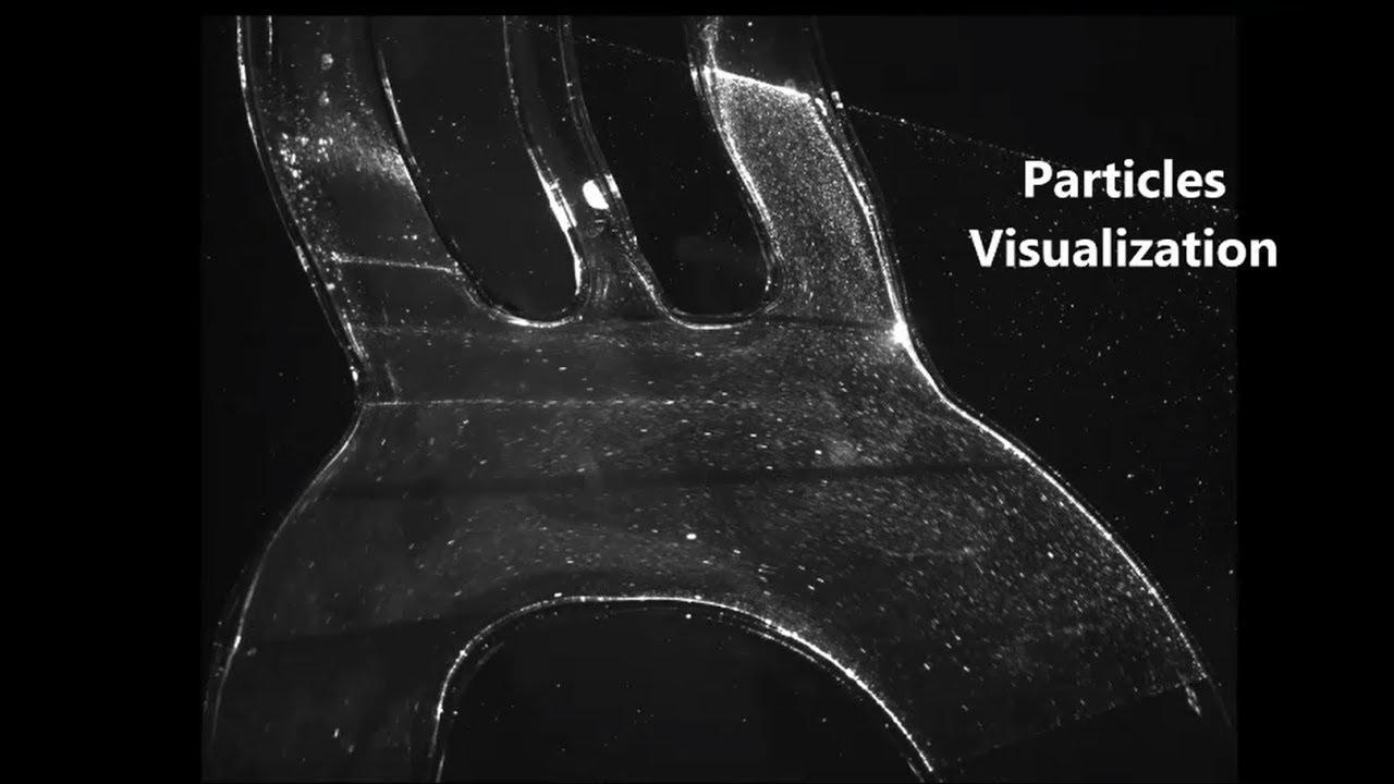 PIV and CFD in the biofluid lab of Ariel Biomechanics Center (ABMC ...