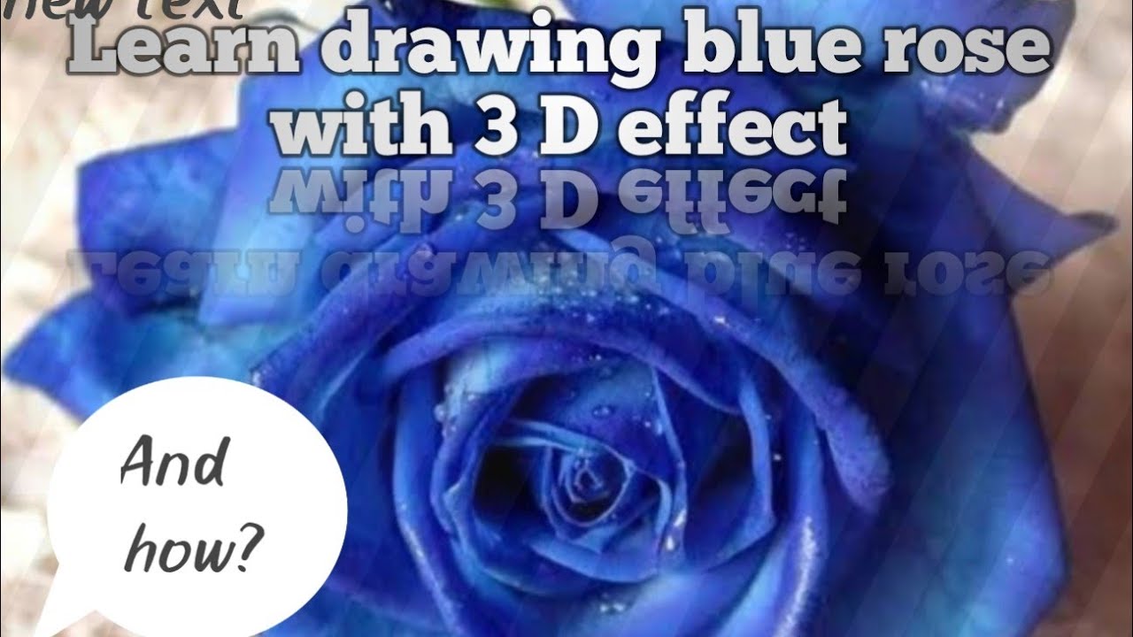 How to draw a blue rose? || by using staedtler water color pencils ...