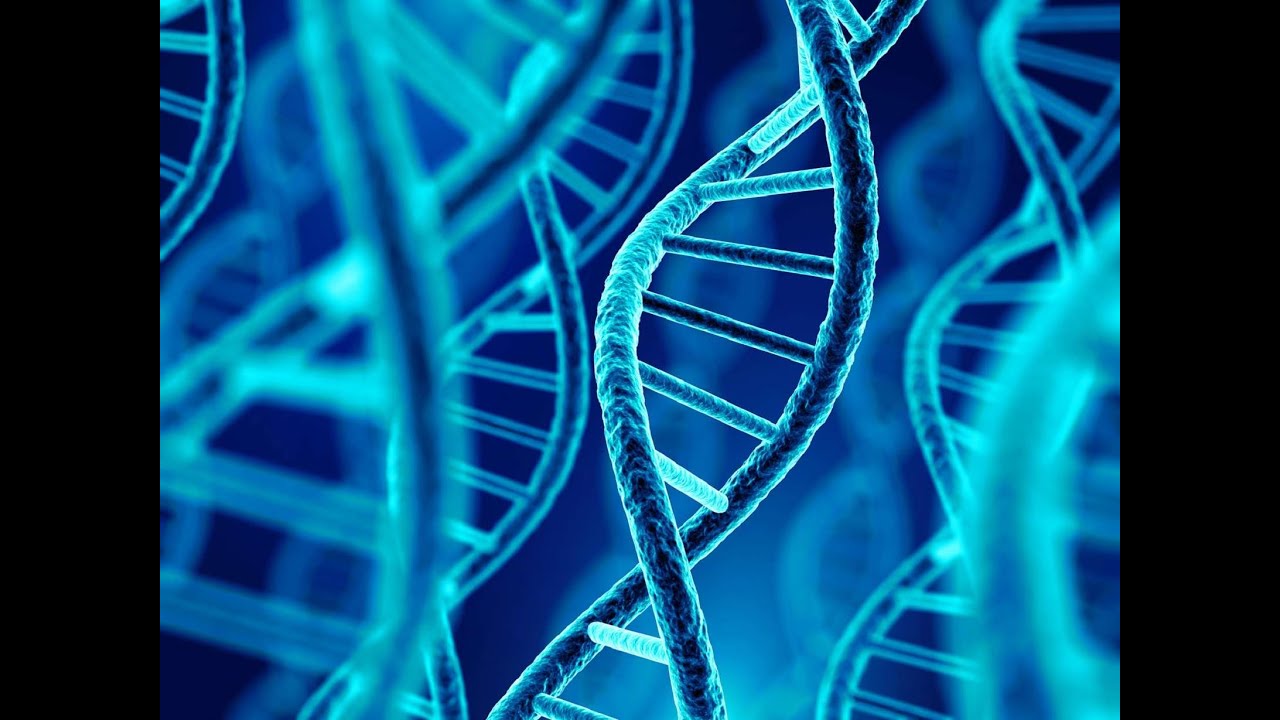 L'INTEGRALITE SUR LE COURS DE LA GENETIQUE FORMELLE (CROISEMENT ...