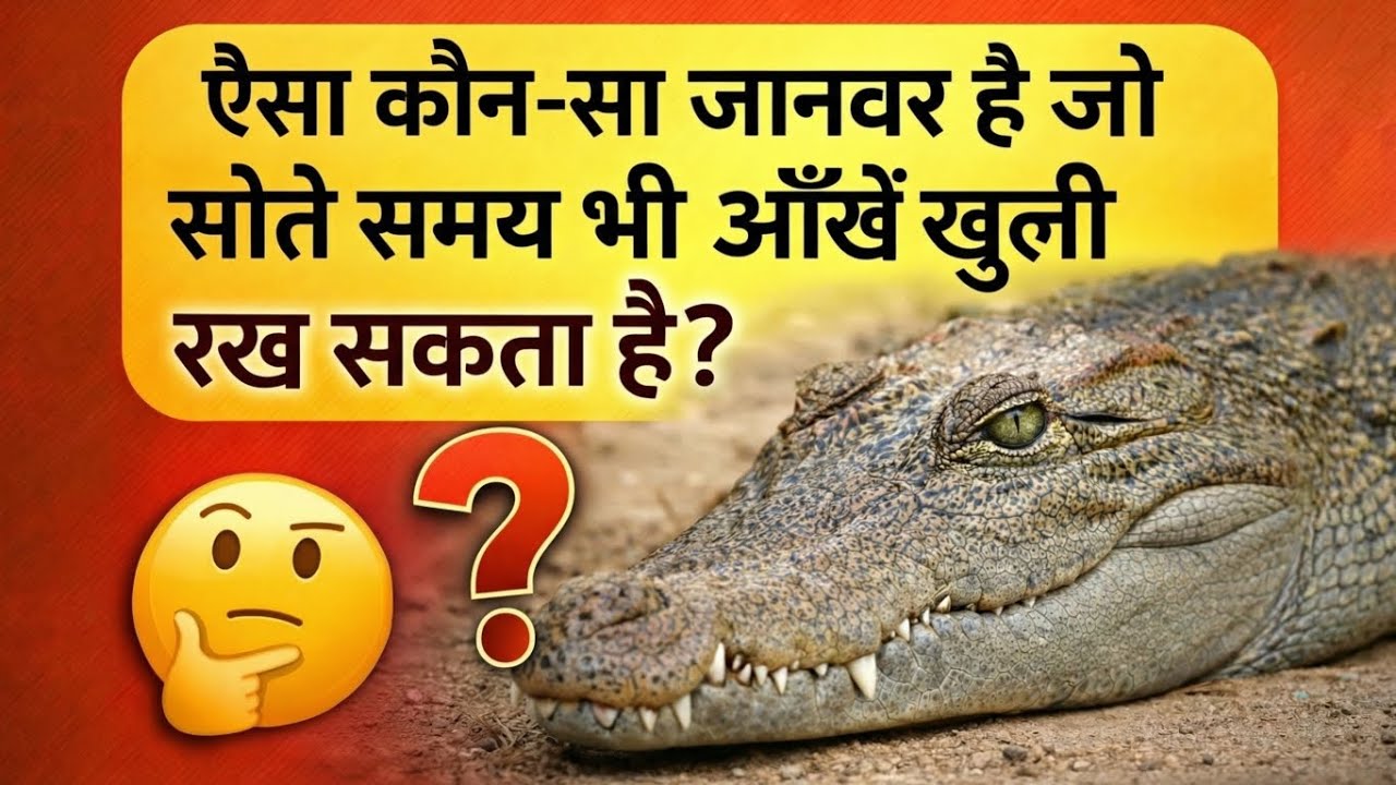 GK Questions and Answers | Hindi GK Quiz | Exam Special #gk - YouTube