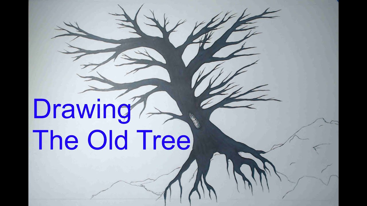 Drawing An Old Tree - YouTube