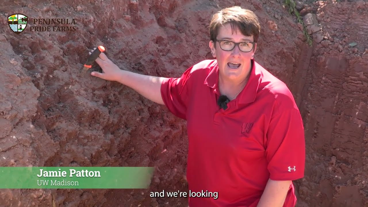 Jamie Patton in soil pit for Peninsula Pride Farms - YouTube
