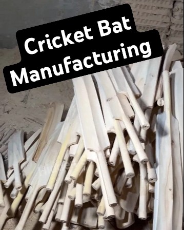 Cricket Bats Manufacturing | Cricket Bat Factory | Cricket Bat Making ...