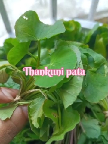 Thankuni pata bata recipe #viralshorts - YouTube