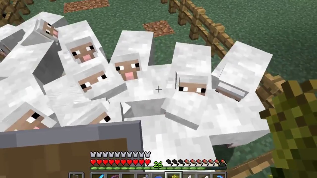 Minecraft Noob | Sheep Shearing Place | Ep 25 - YouTube