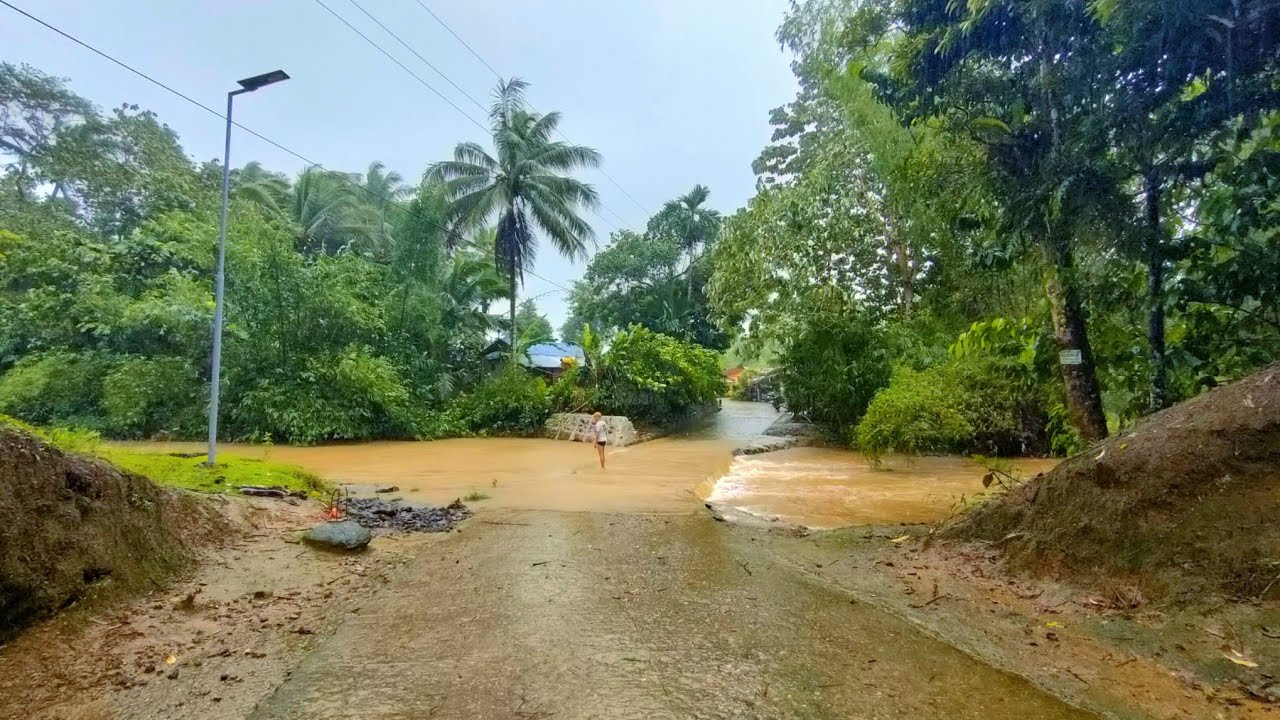 UPDATES SA BAGYONG KRISTINE//CAM. SUR BICOL//GARDEN UPDATES SA GITNA NG ...