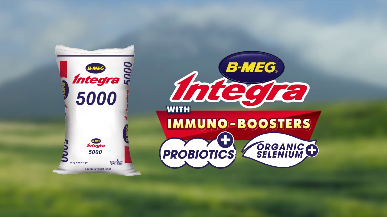 B MEG INTEGRA IMMUNITY - YouTube