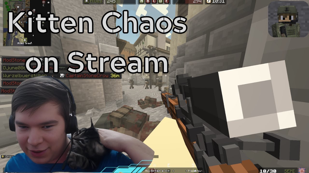 Kitten Chaos on Stream - YouTube