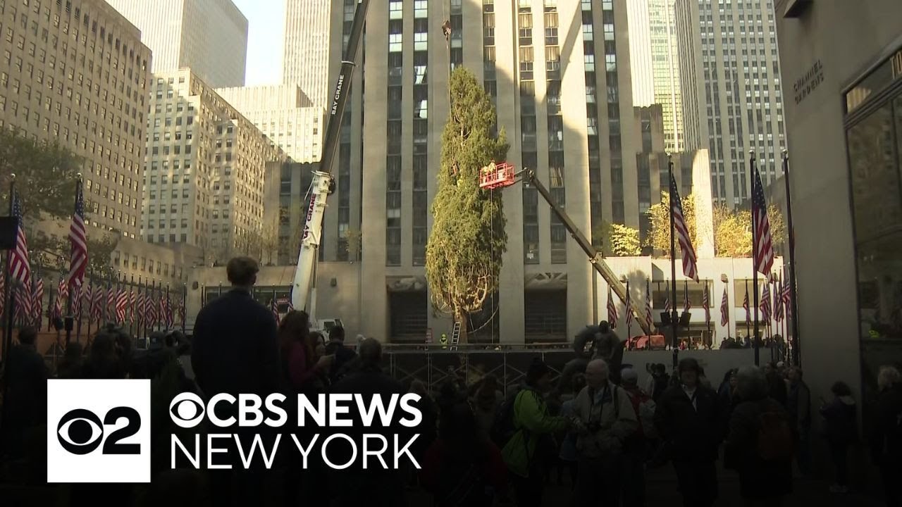Crews set up 2024 Rockefeller Center Christmas tree in NYC - YouTube