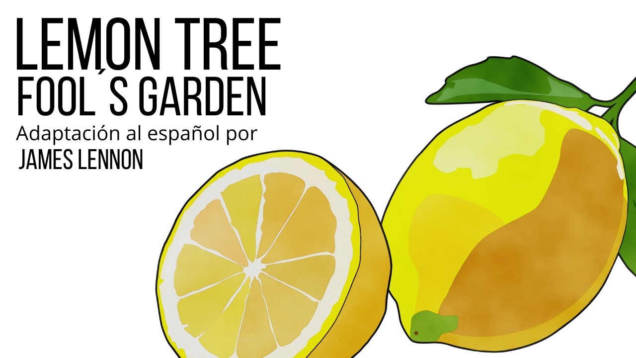 Lemon Tree - Fool´s Garden | Cover al Español por James Lennon - YouTube