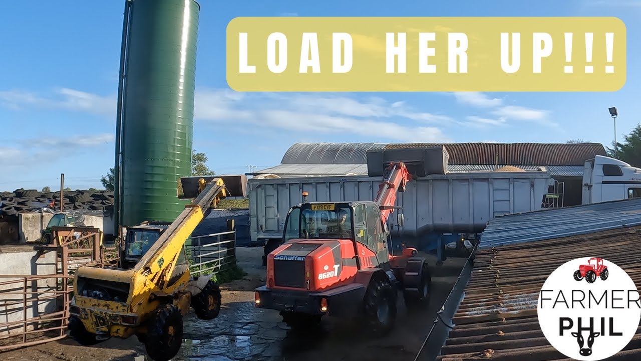 LOADING GRAIN WITH DOUBLE THE LOADER POWER - YouTube
