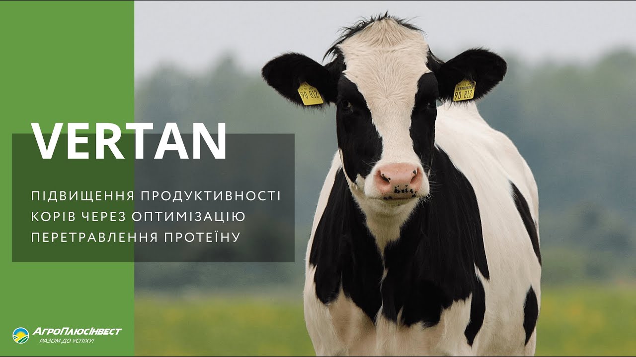 ВРХ - Vertan - YouTube