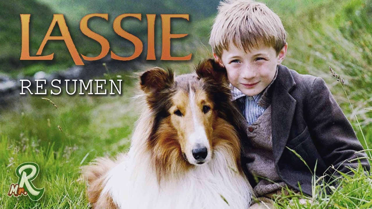 LASSIE (2005) | RESUMEN de un Perro que viajara por mucho tiempo para ...