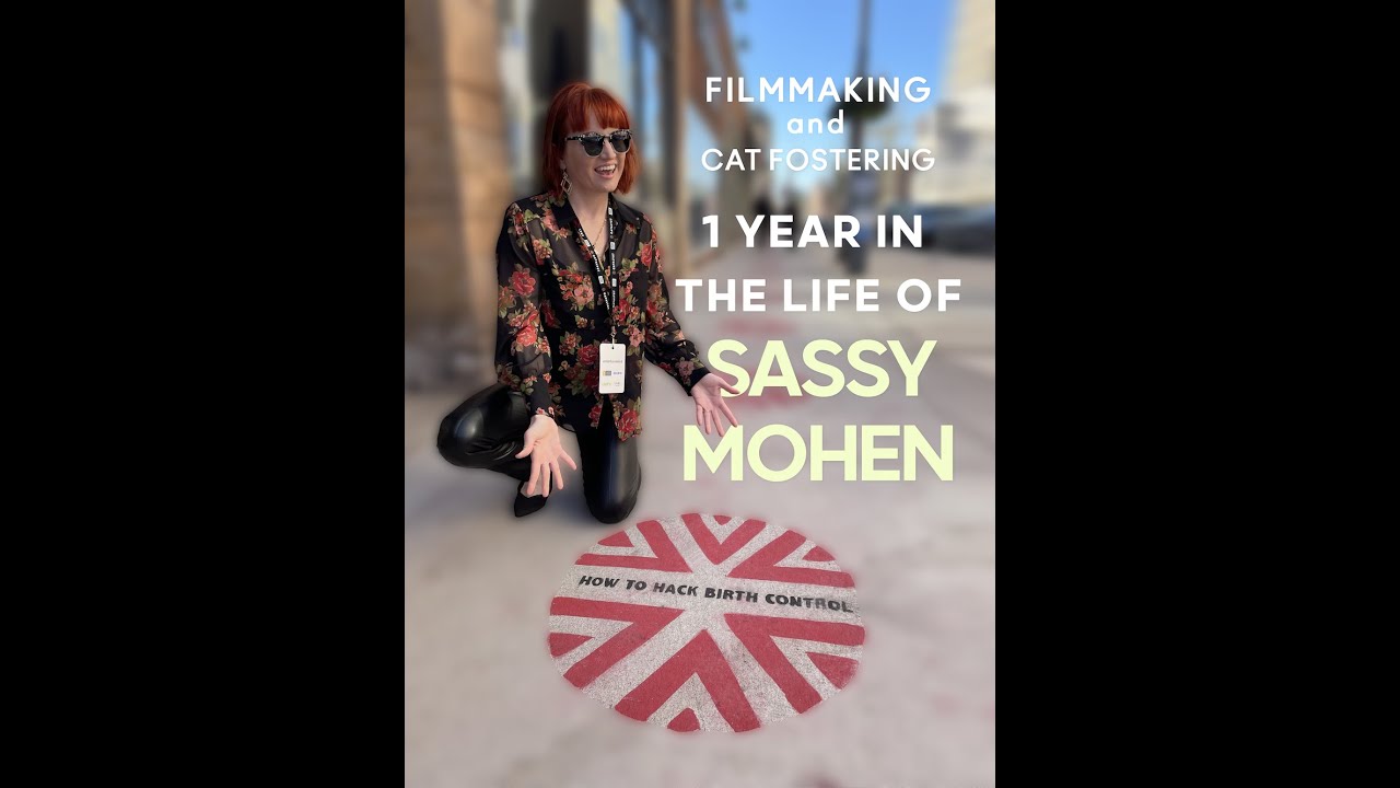 Filmmaking & Cat Fostering | 1 Year in the Life of Sassy Mohen | Female ...