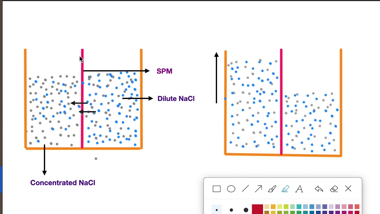 Class9 Science NCERT Plasma Membrane Diffusion Osmosis Chapter5 class9-science-ncert-plasma-membrane-diffusion-osmosis-chapter5