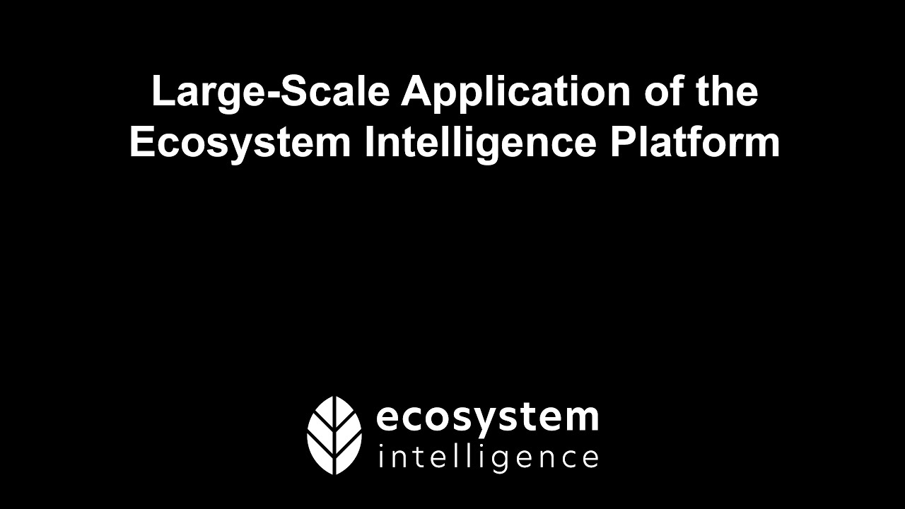 Large Scale Applications of Ecosystem Intelligence - YouTube