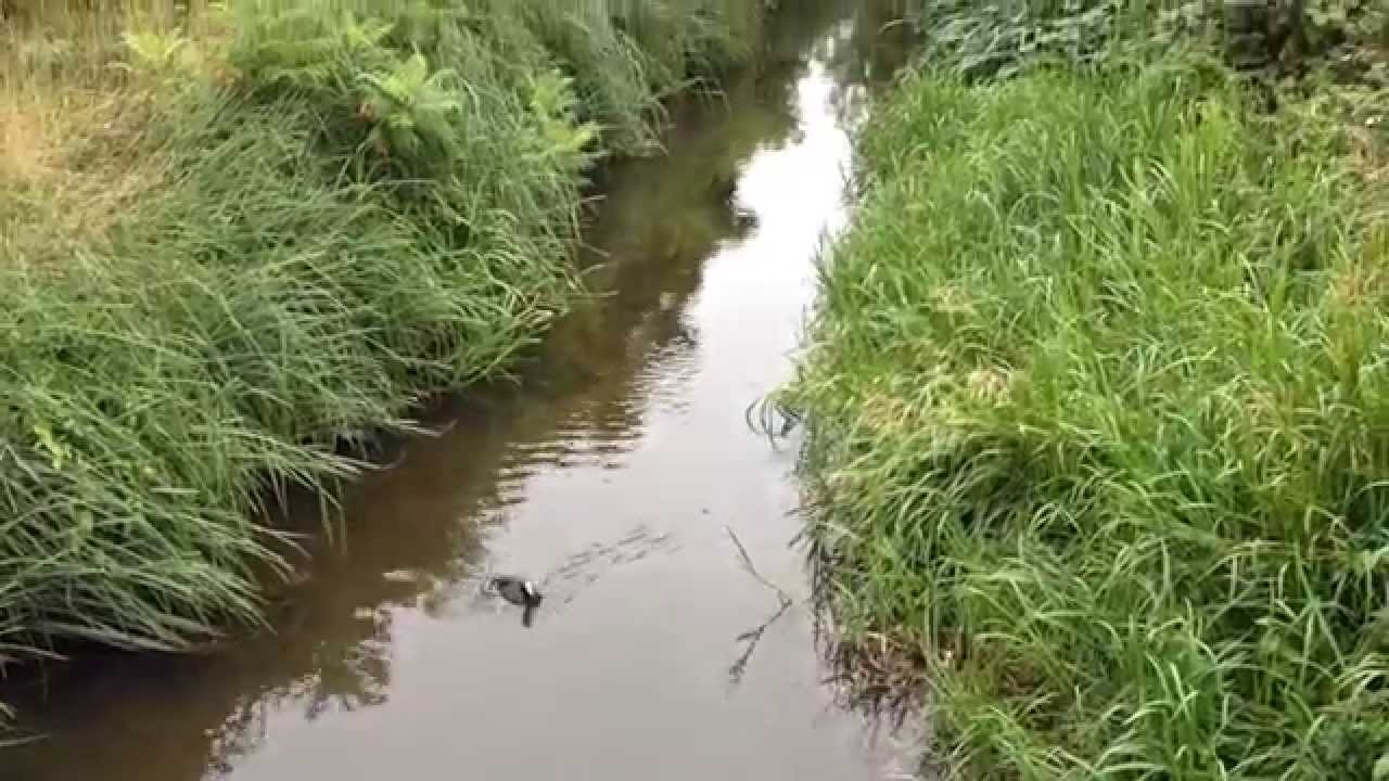 Longford River at The Two Bridges in Bedfont, Feltham, Middlesex ...