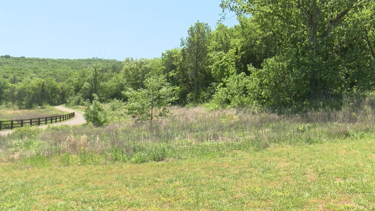 Land Trust of North Alabama officially conserves 10,000 acres amid ...