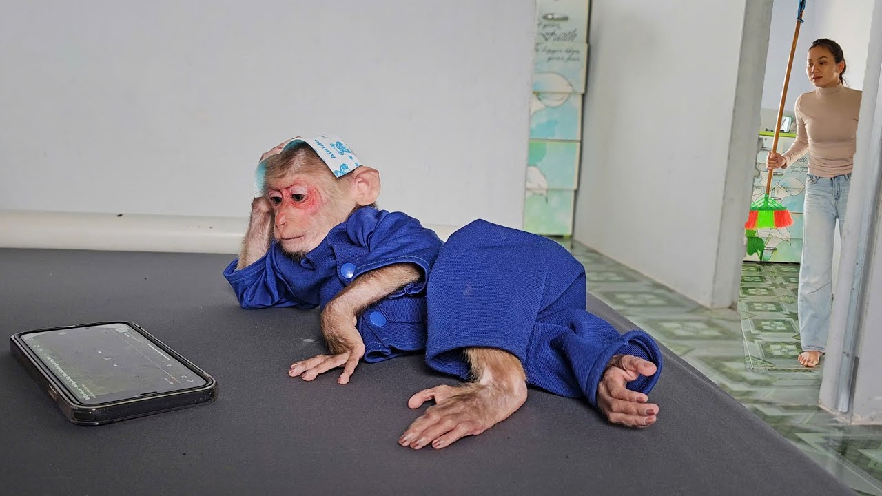 Monkey Su even better at pretending to be sick than professional actor ...
