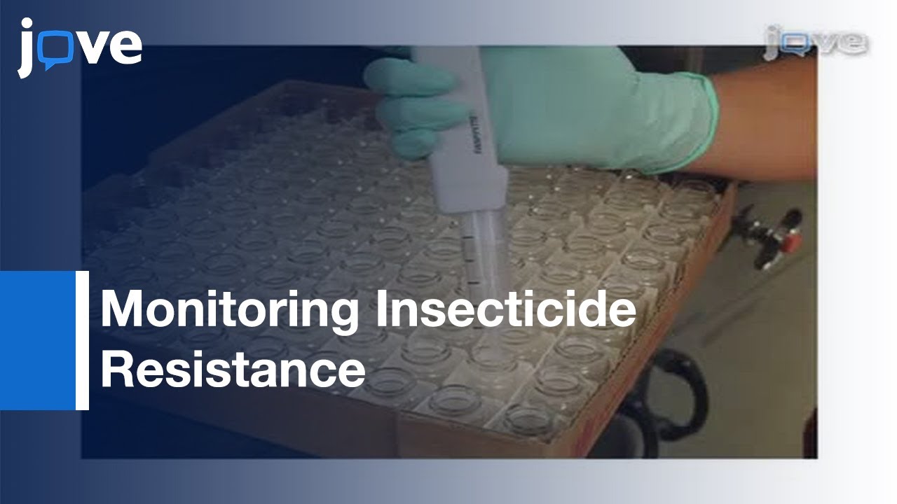 Bioassays For Monitoring Insecticide Resistance l Protocol Preview ...