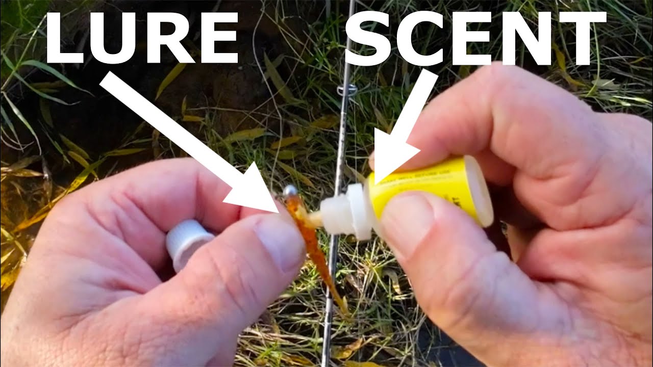 The secret to applying lure scent properly - YouTube