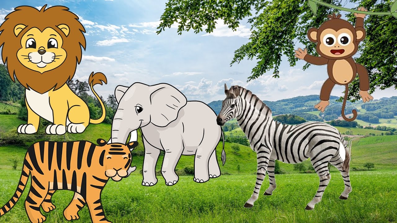 Sounds of animals - safari, elephant, tiger, monkey, zebra, sheep ...