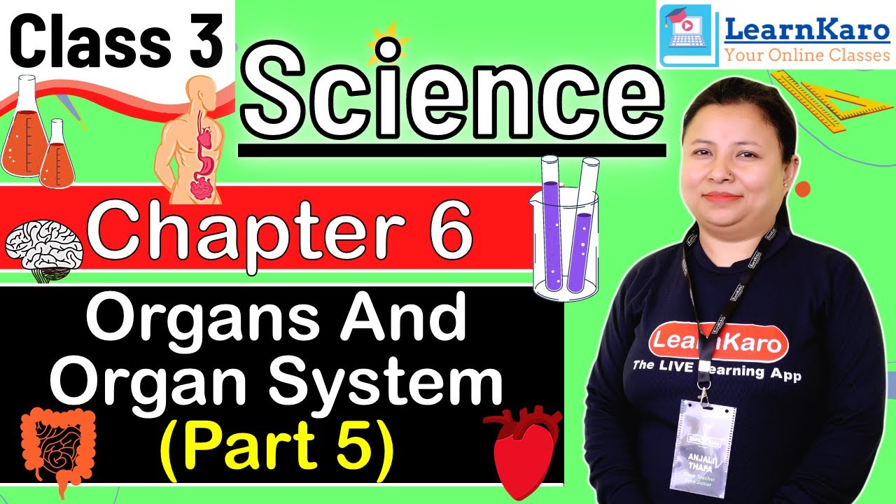 Organs and Organ System | Chapter- 6 | Science for Class 3 students ...