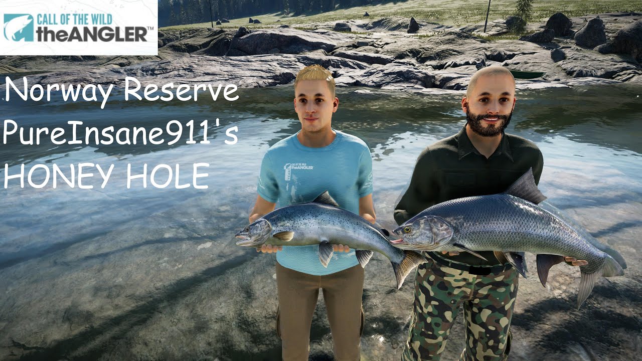 Call of The Wild The Angler NORWAY HONEY HOLE - YouTube