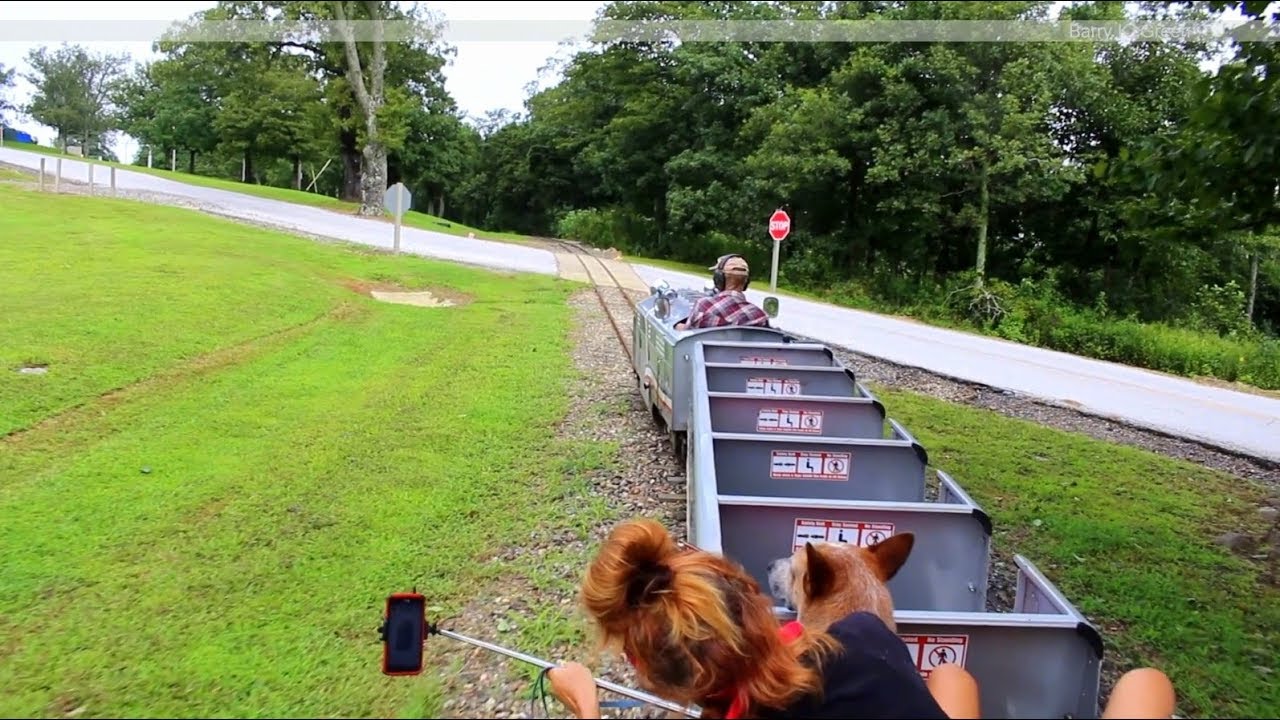 Scenic Train Ride Atop Mountain Queen Wilhelmina - Dog On Board - Deer ...
