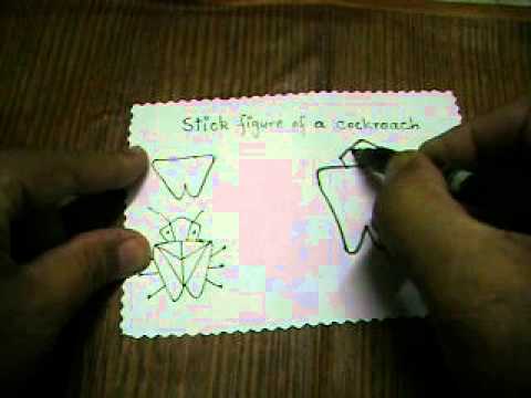 How to draw a stick figure of a cockroach?..by Lalit Kishore - YouTube