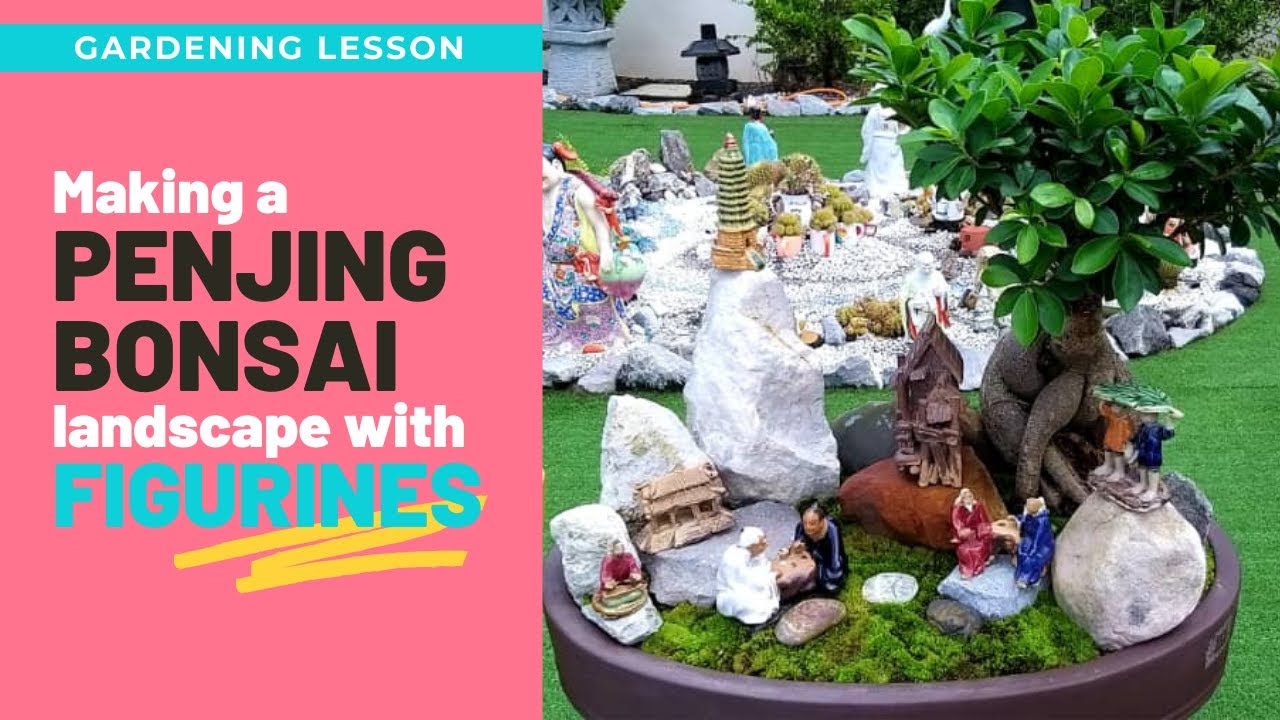 GARDENING LESSON - Making a PENJING LANDSCAPE with FICUS GINSENG BONSAI ...