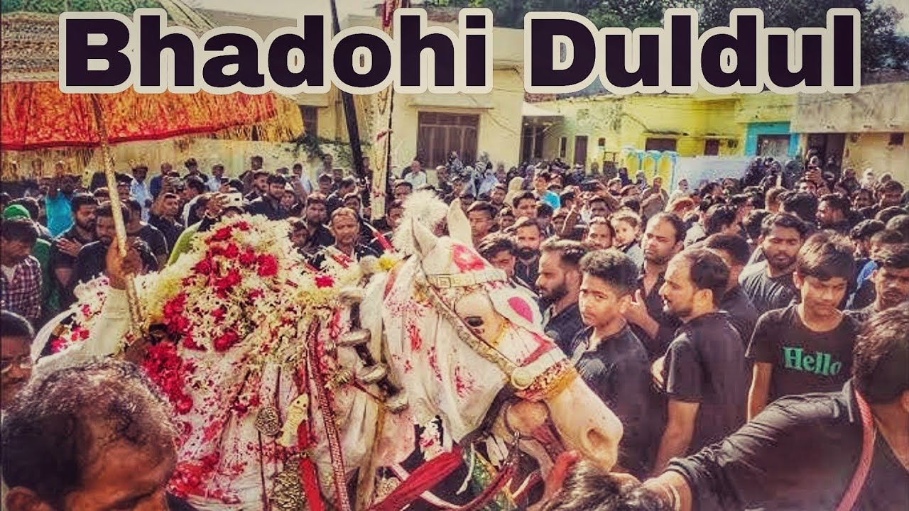 Bhadohi Duldul|Moharram video| #moharram #bhadohi - YouTube