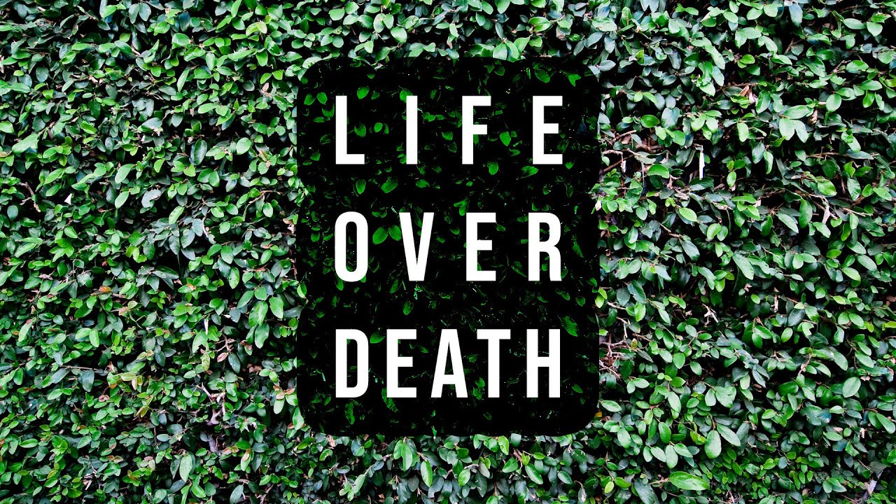 Life Over Death - Pastor Reese Hendricks - YouTube