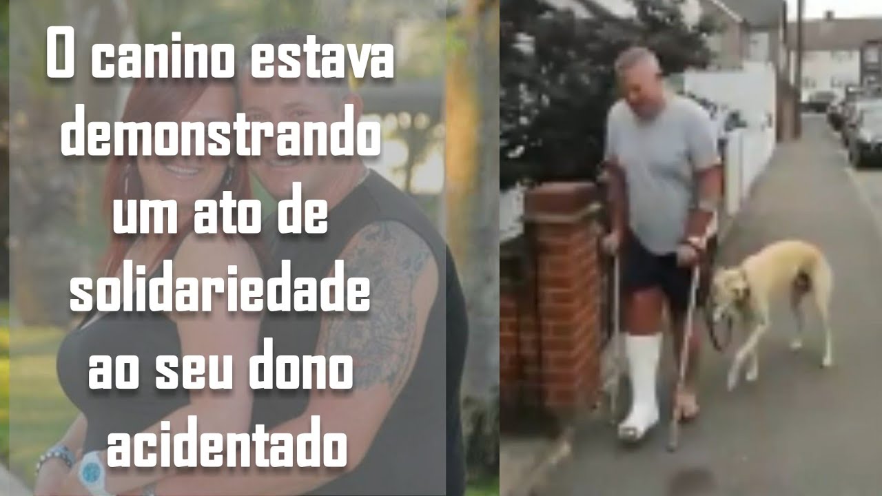 Homem manco gasta R$ 2,1 mil em veterinário com cão que o imitava - YouTube
