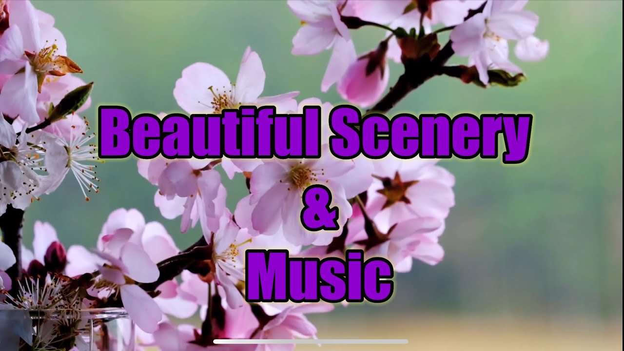 Beautiful Scenery & Music #scenery #music @DesiFuhrer - YouTube