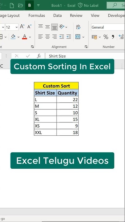 Excel Pro Trick: Custom Sorting In Excel (Telugu ) || MS Excel Tutorial - YouTube