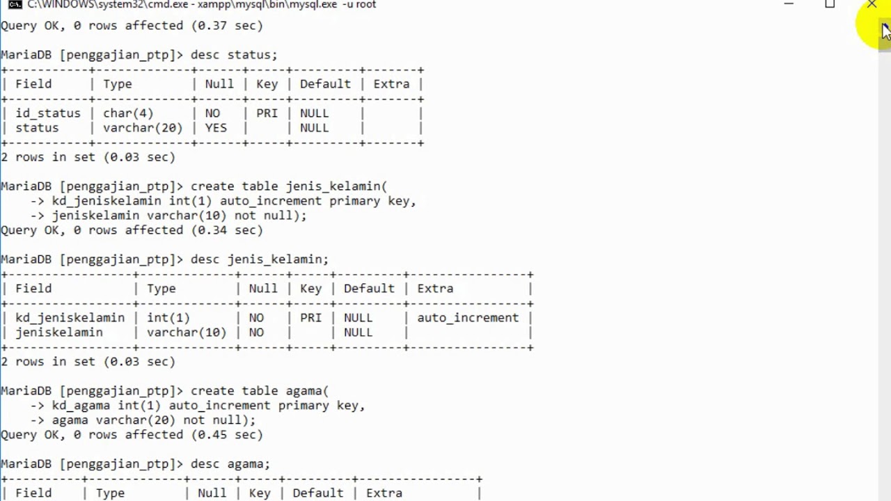 Tool Basis Data dan Pengenalan DDL & DML - YouTube