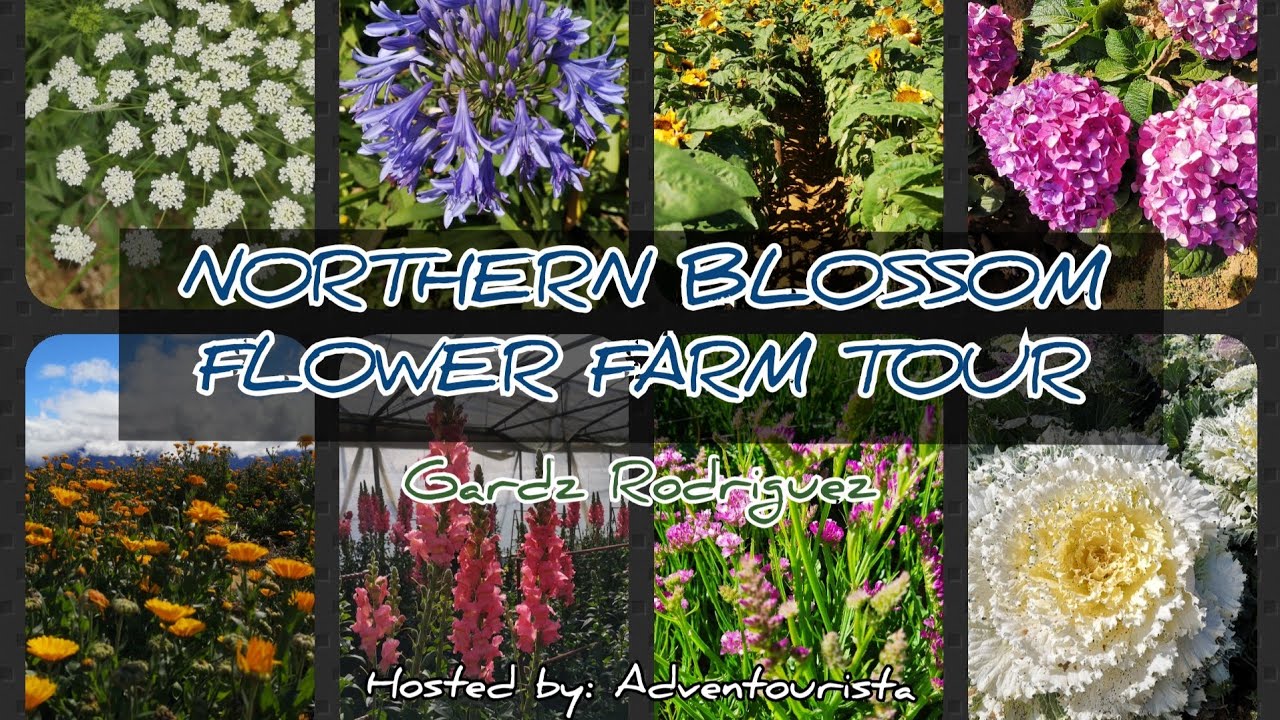 Northern Blossom Flower Farm Tour - YouTube