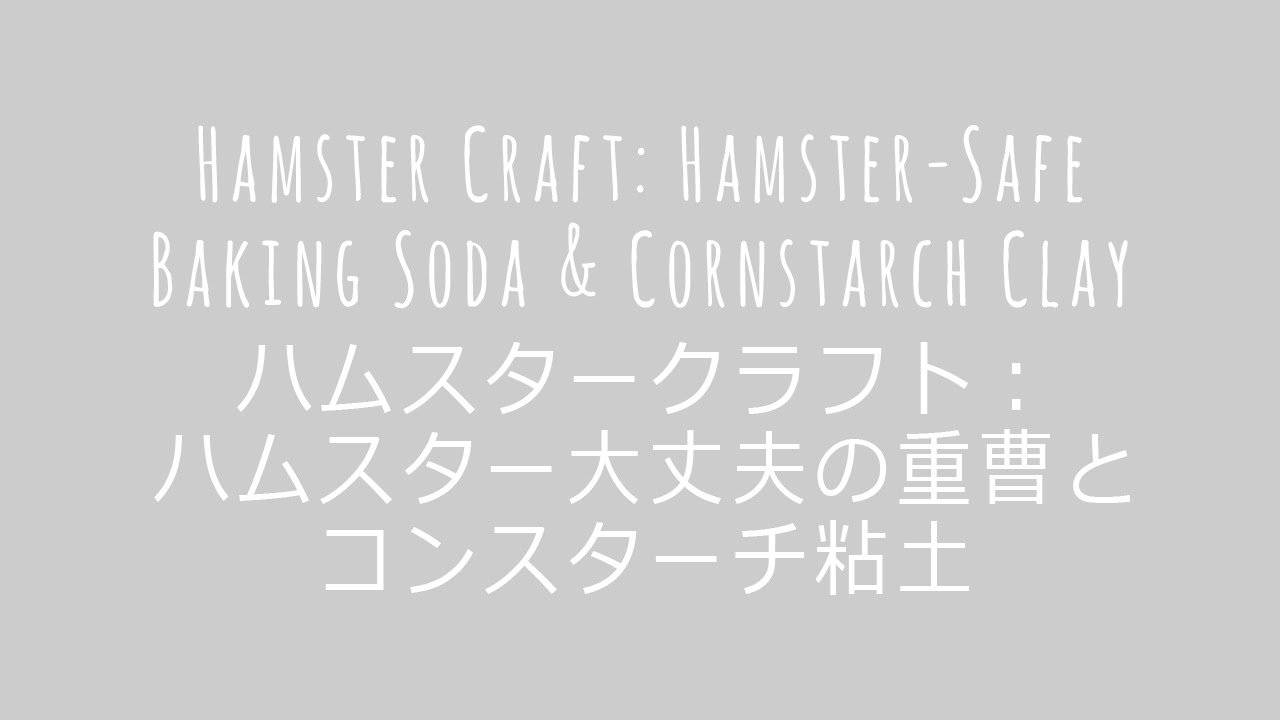 DIY Hamster Toy and Craft: Hamster-Safe Baking Soda and Cornstarch Clay ...