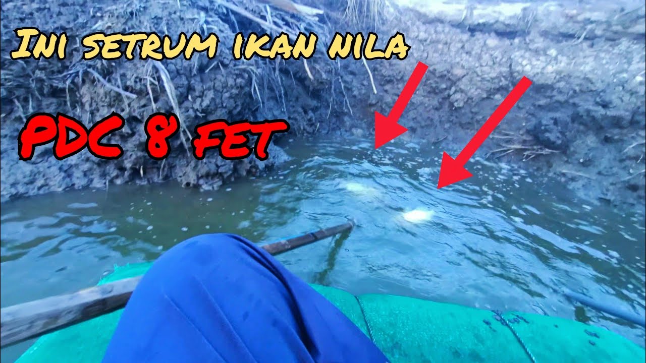 Setrum ikan Nila Dilokasi Pakci‼️ Ini dia hasilnya menggunakan PDC 8 ...